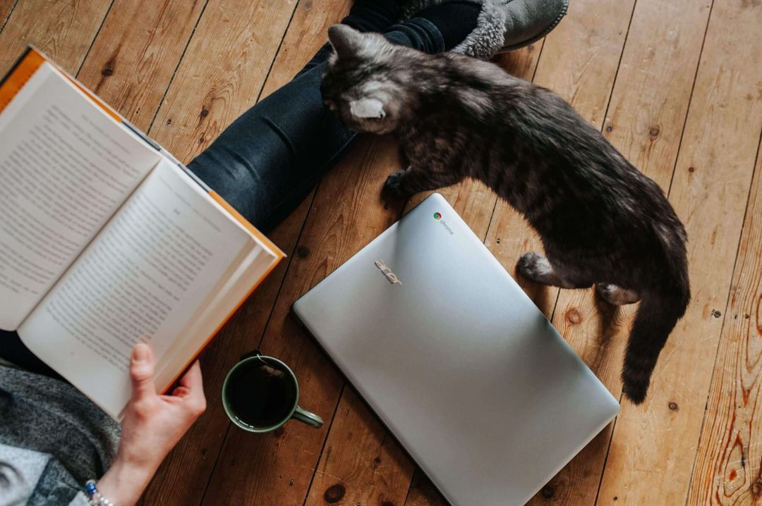 Plotting Your Novel Using Save The Cat!