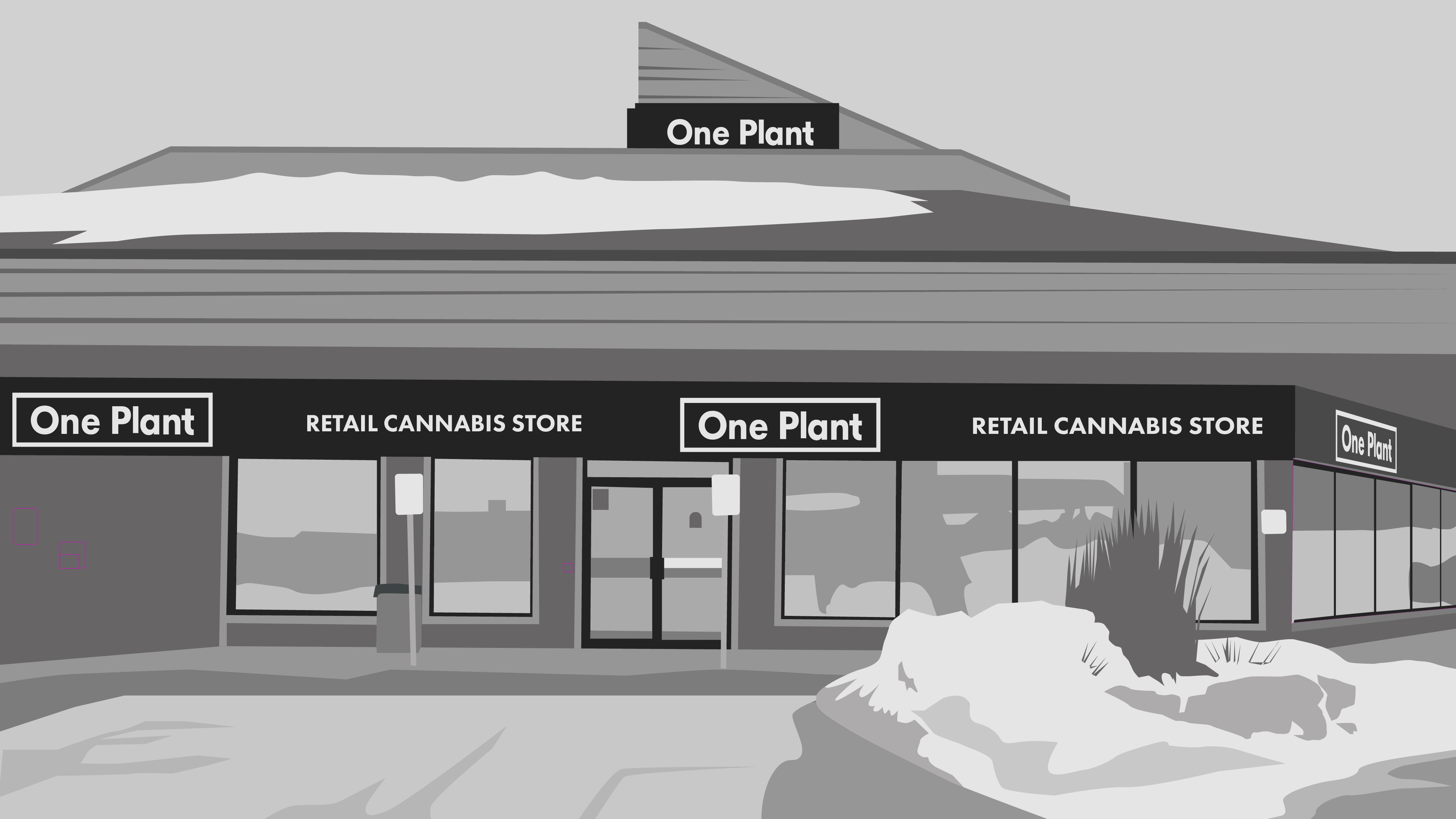 Pickering's Best Cannabis Selection | One Plant Pickering