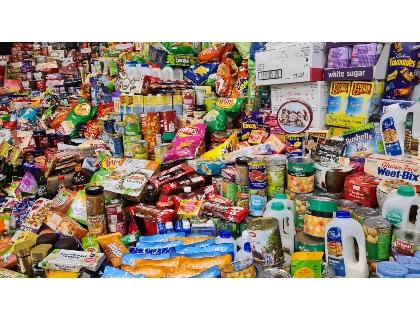 Feed Store Business Plan Template & Guidebook