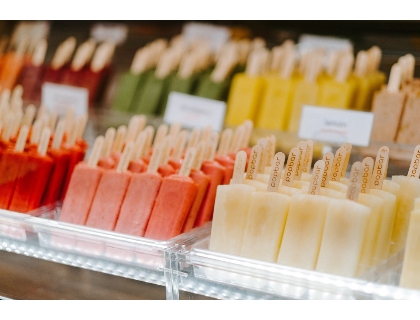 Popsicle Business Plan Template & Guidebook