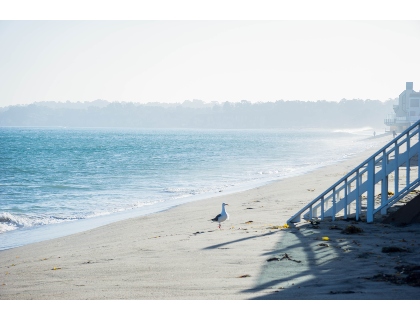 Timeshare Business Plan Template & Guidebook