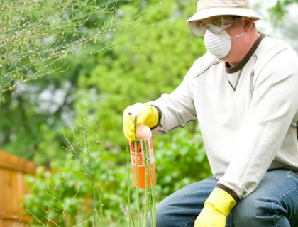 75+ Unique, Creative & Catchy Pest control Business Names 👀
