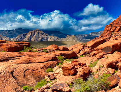 How to Start an LLC in Nevada: 7 Steps to Get Started Today!