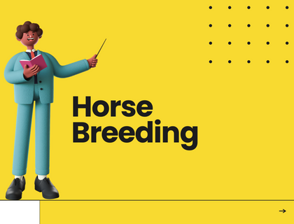Marketing Your Horse Breeding Business: 9+ Ideas to Get Customers