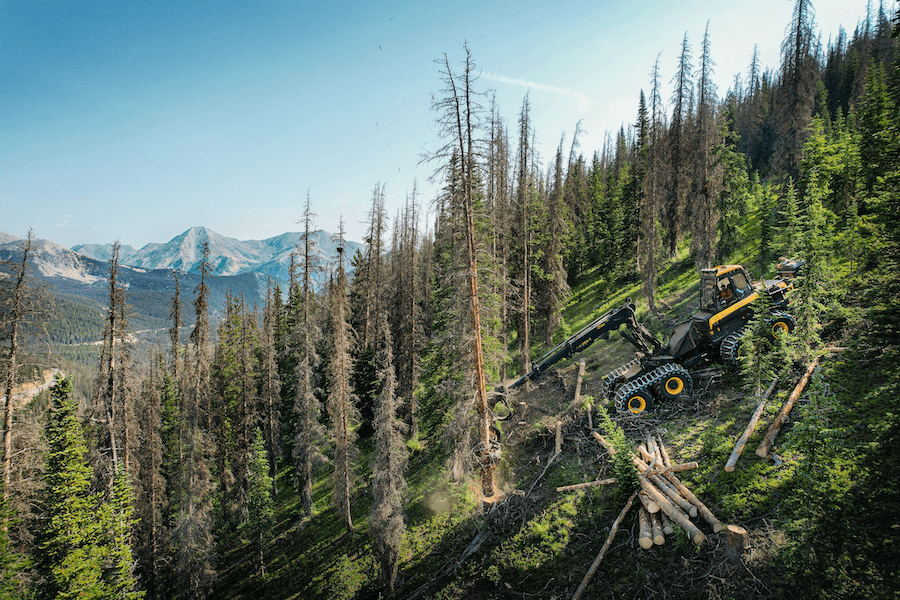 Projects | Oregon Mass Timber Coalition