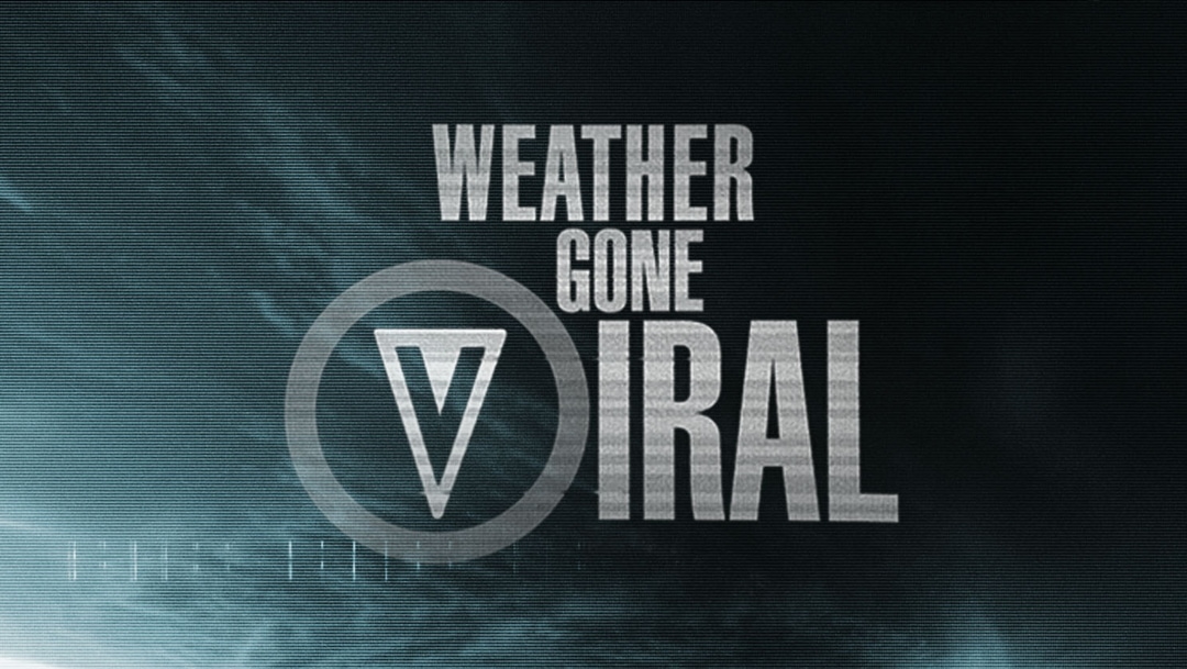 The Weather Group | Shows