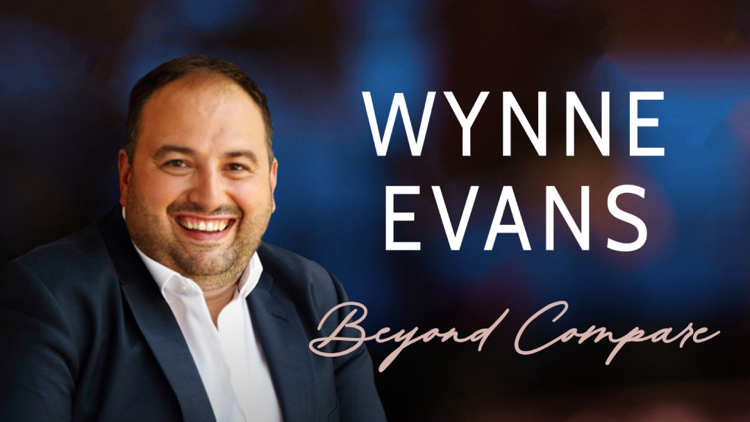 Swansea Arena | Wynne Evans - Live In Concert