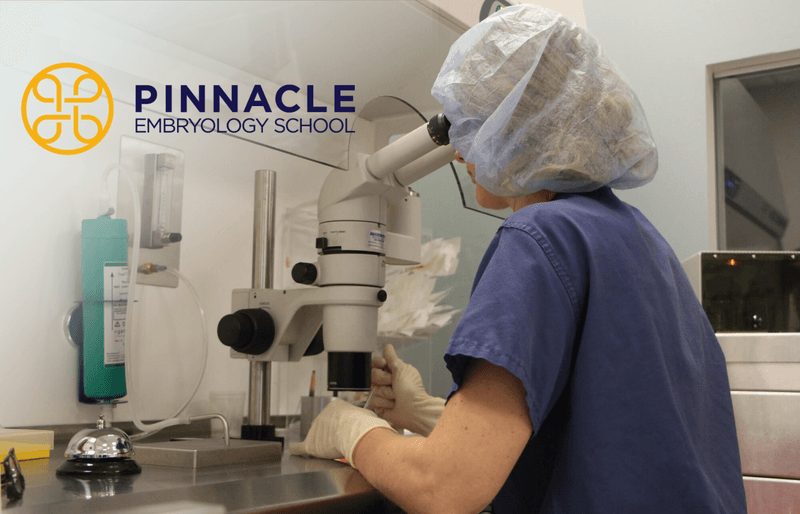 Fertility Clinic and IVF Clinic | Pinnacle Fertility