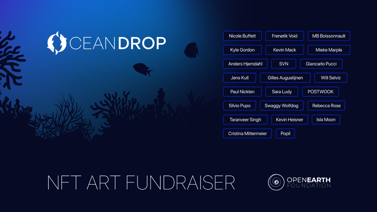 Ocean Program | OpenEarth Foundation