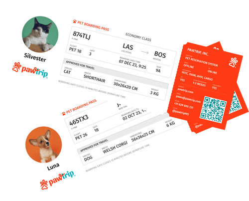 Pawtrip · Pet Reservation System · Pet-Friendly Travel