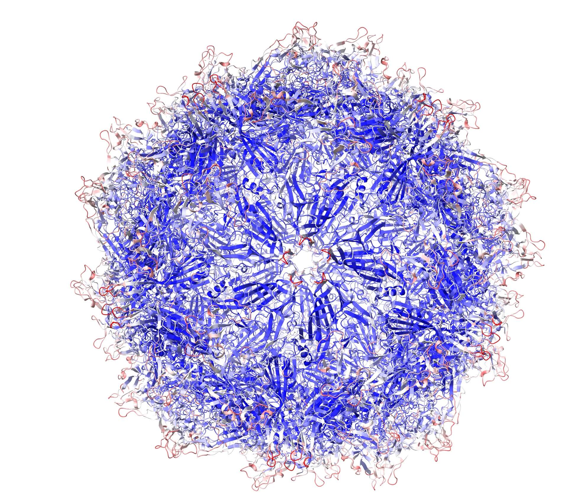 NanoImaging Services