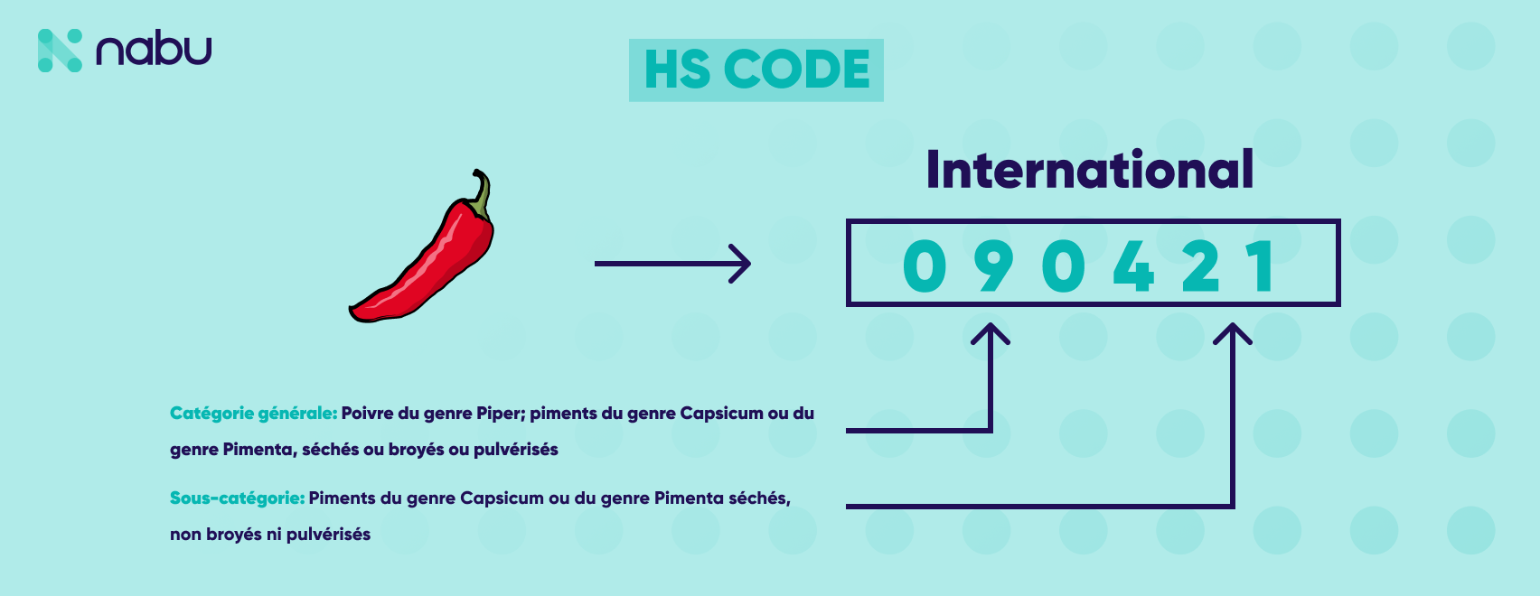 Les différences entre les codes douaniers HS, NC et TARIC : Tout ce que ...