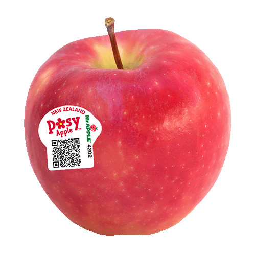 Apple Varieties | Mr Apple