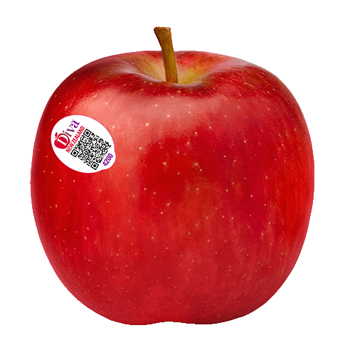 Apple Varieties | Mr Apple