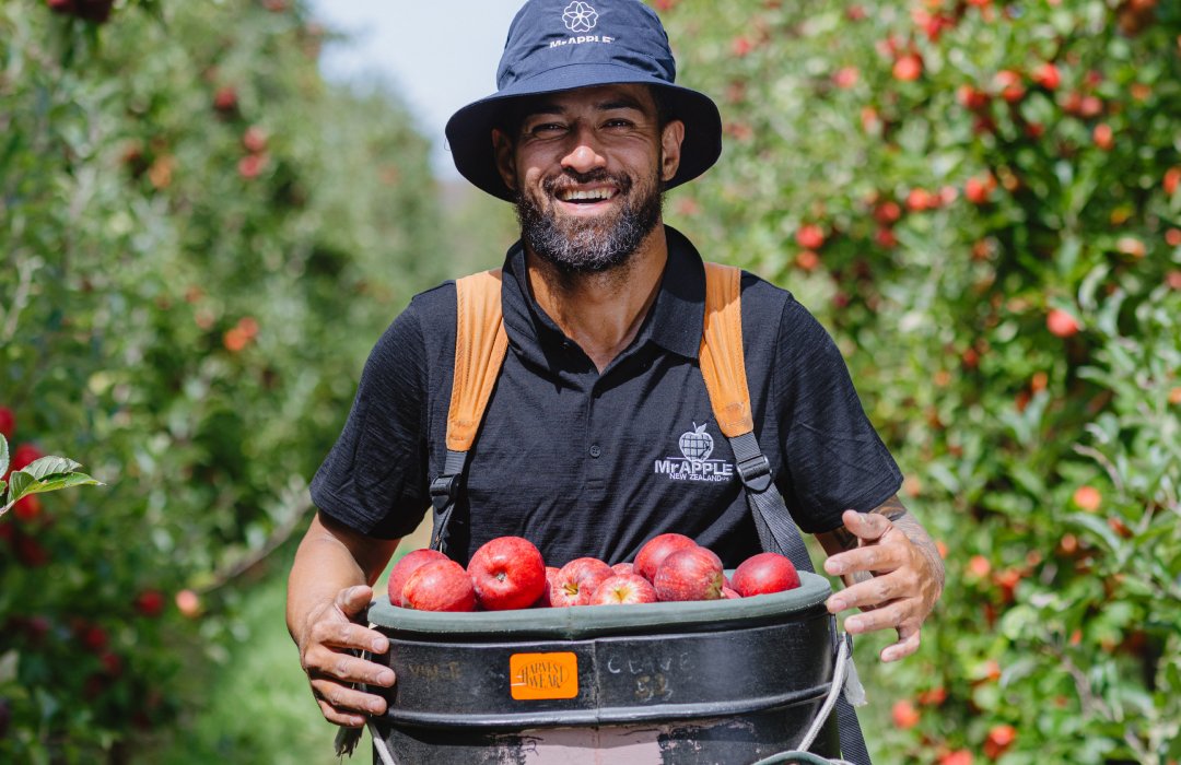 Our Story | Mr Apple