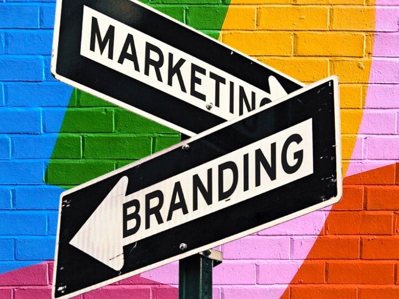 Startup success through branding & marketing strategies - Bettermade