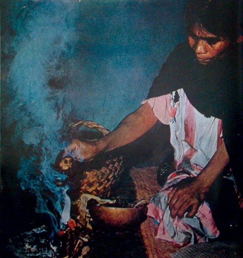 The Earthly Journeys of María Sabina | Fungi Foundation Blog