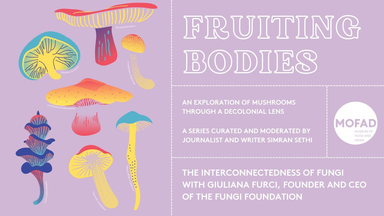 Materiales Adicionales