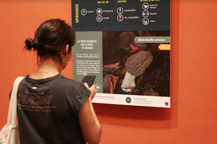 Cultivating Awareness: Fungi Foundation's Work with Museums | Fungi ...