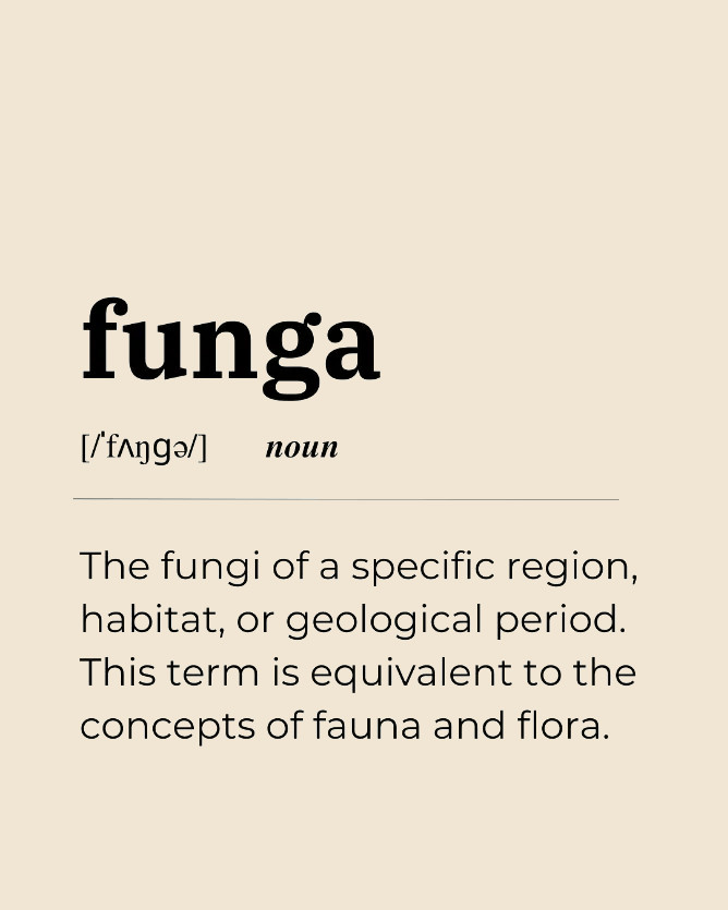 Fauna, Flora, Funga | Fungi Foundation