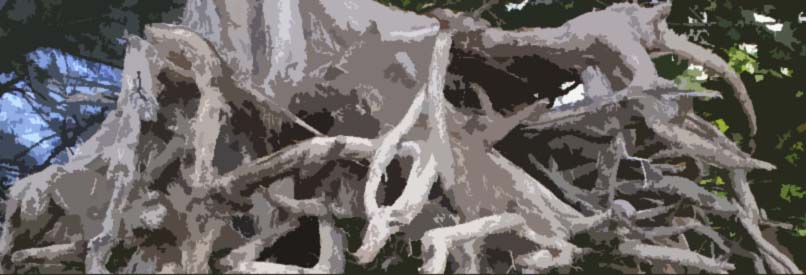 Radicalism and Christianity | Westar Institute