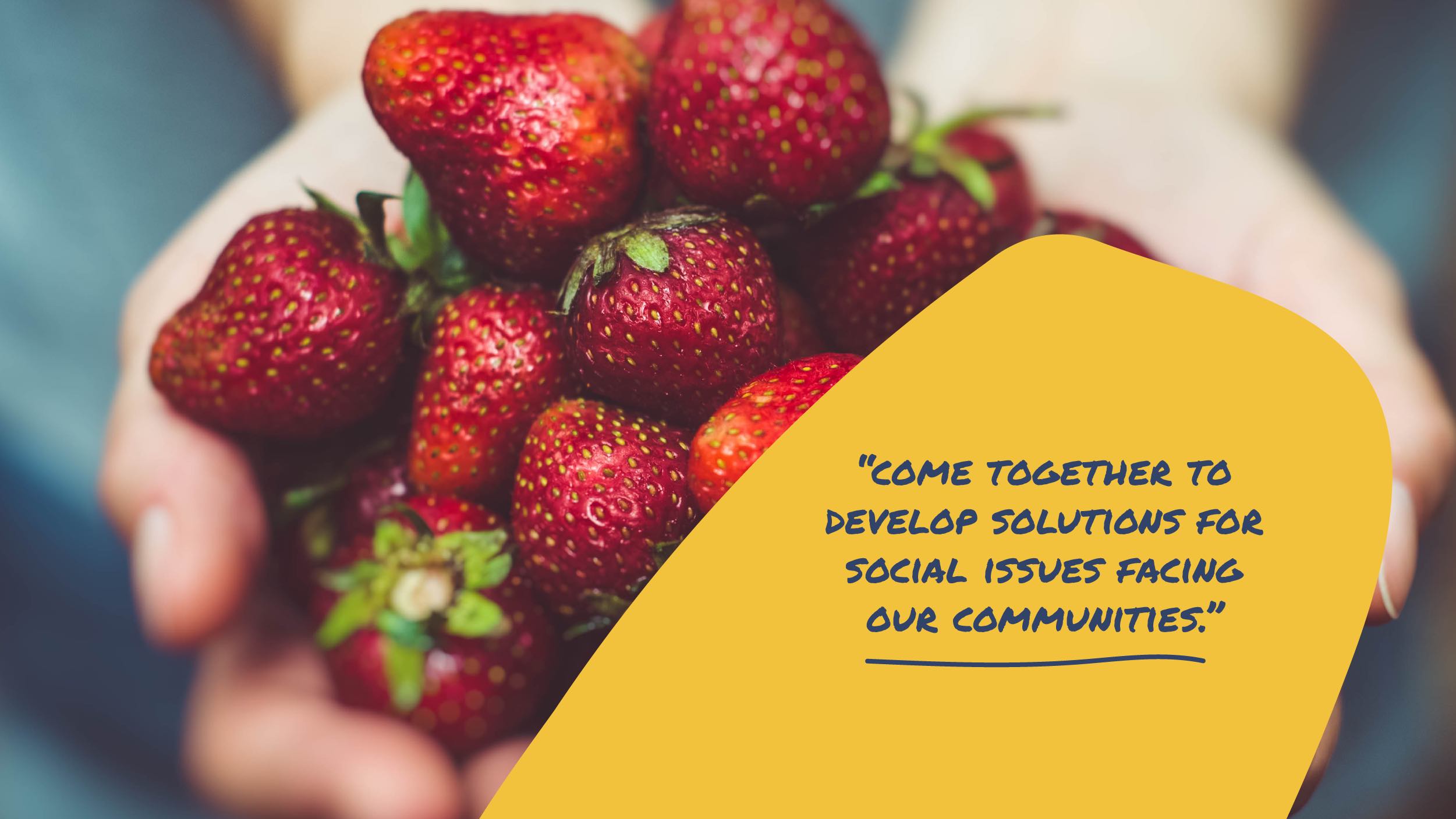 Food security in Calgary | Social Impact Lab