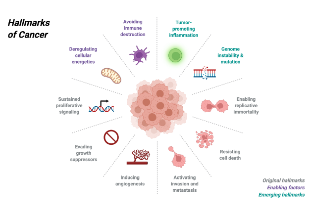 Feature-rich Scientific Software for Figure Making | BioRender
