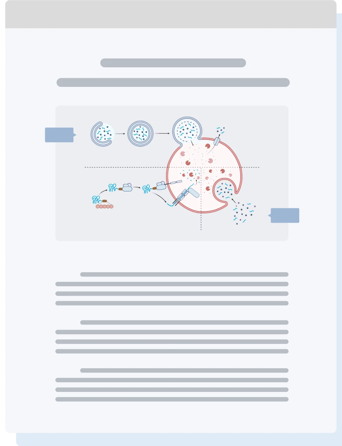 Scientific Figure Making Software for Industry Scientists