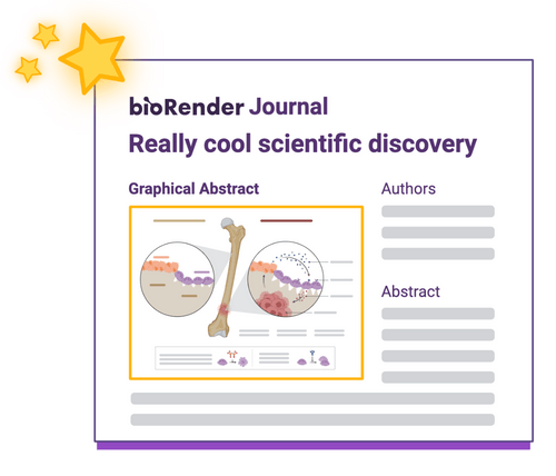 Mastering Graphical Abstracts: Top Design Tips for Researchers | BioRender