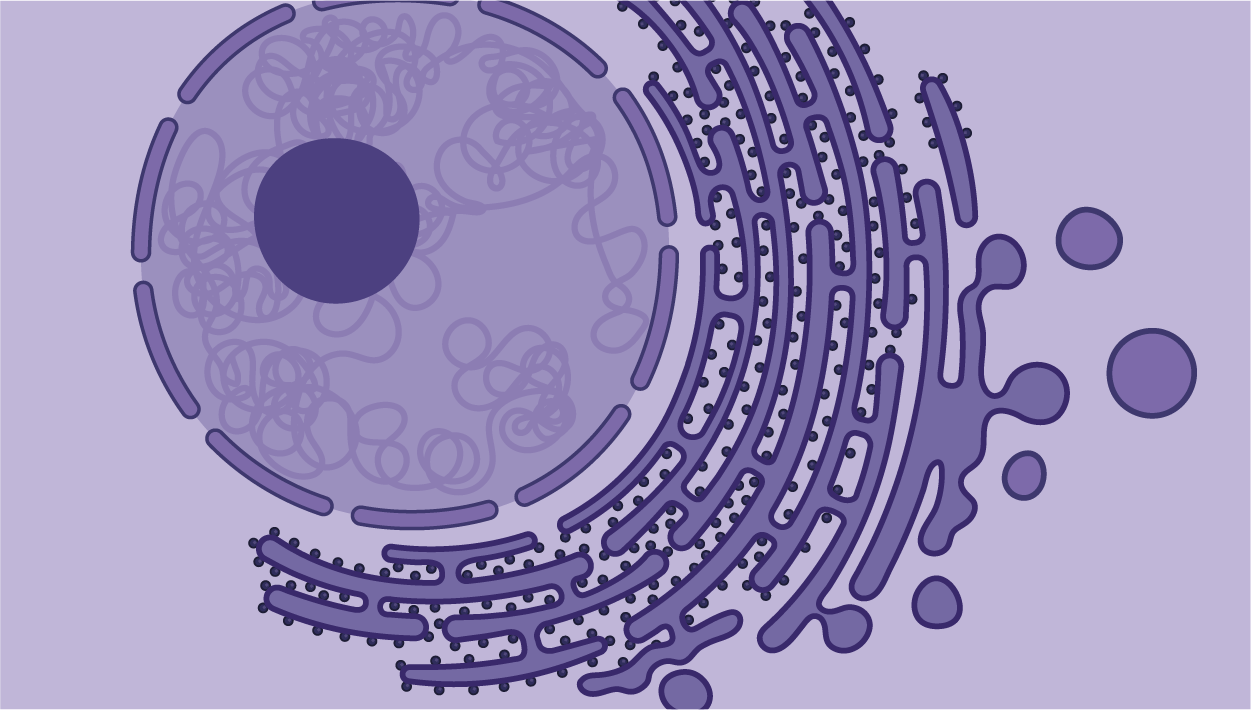 Free Cell Structures Icons, Symbols & Images | BioRender