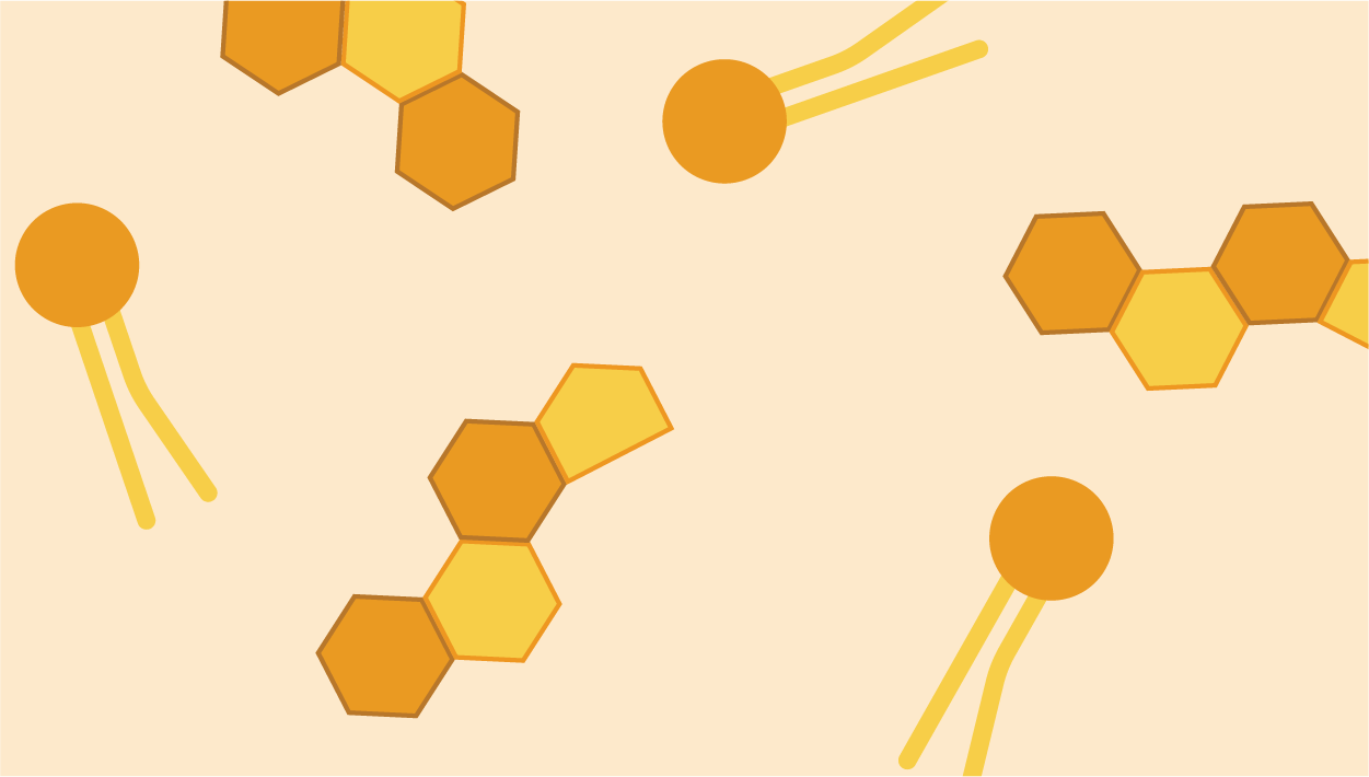 Free Lipids and Carbs Icons, Symbols & Images | BioRender