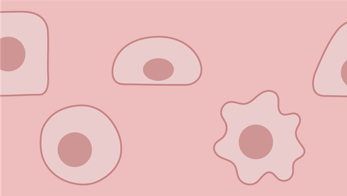 Free Cell Types Icons, Symbols & Images | BioRender