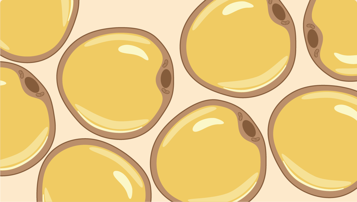 Free Cell Types Icons, Symbols & Images | BioRender