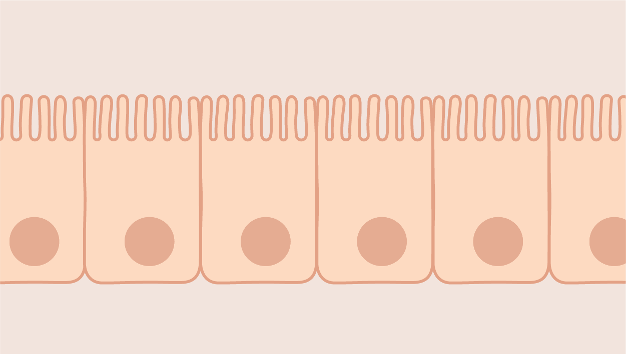 Free Cell Types Icons, Symbols & Images | BioRender