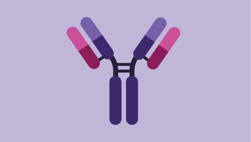 Free Proteins Icons, Symbols & Images | BioRender