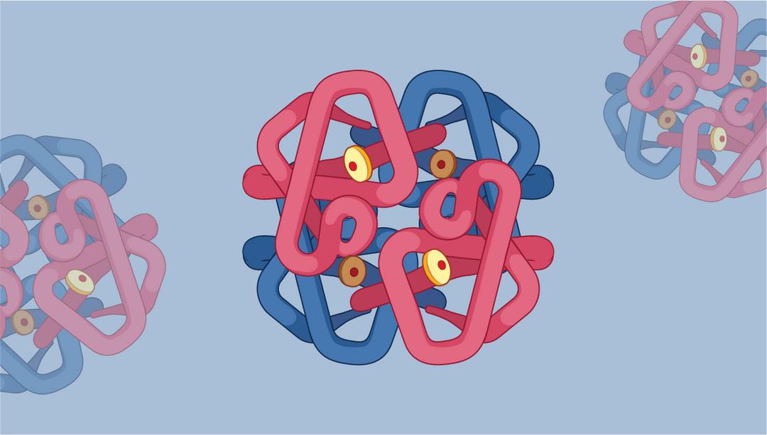 Free Proteins Icons, Symbols & Images | BioRender