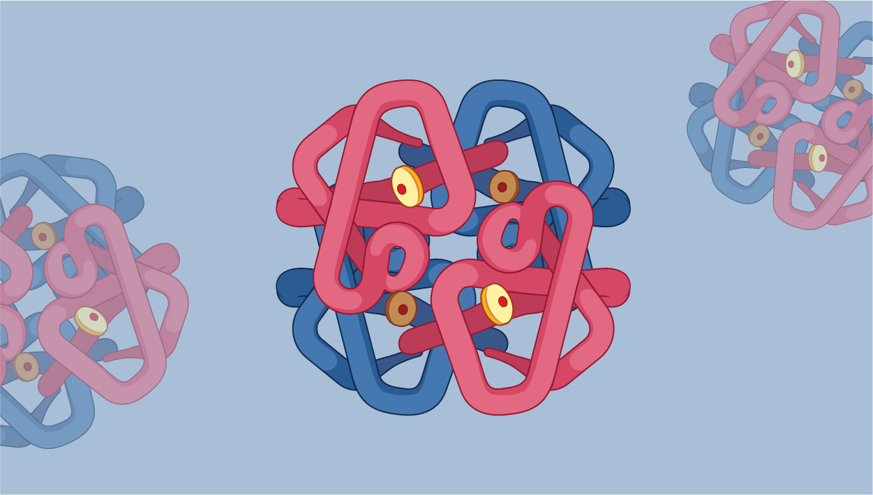 Free Proteins Icons, Symbols & Images | BioRender