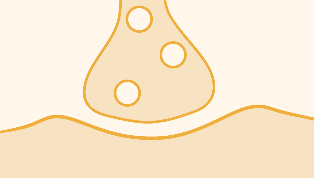 Free Membranes Icons, Symbols & Images | BioRender