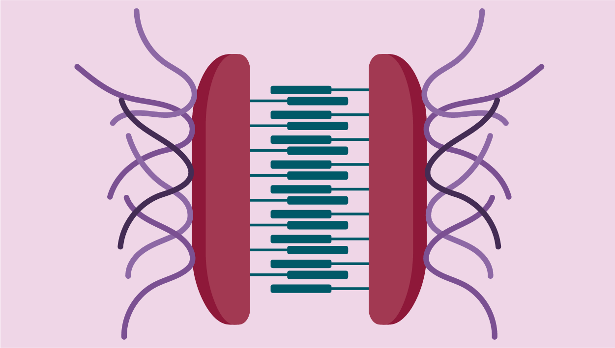Free Proteins Icons, Symbols & Images | BioRender