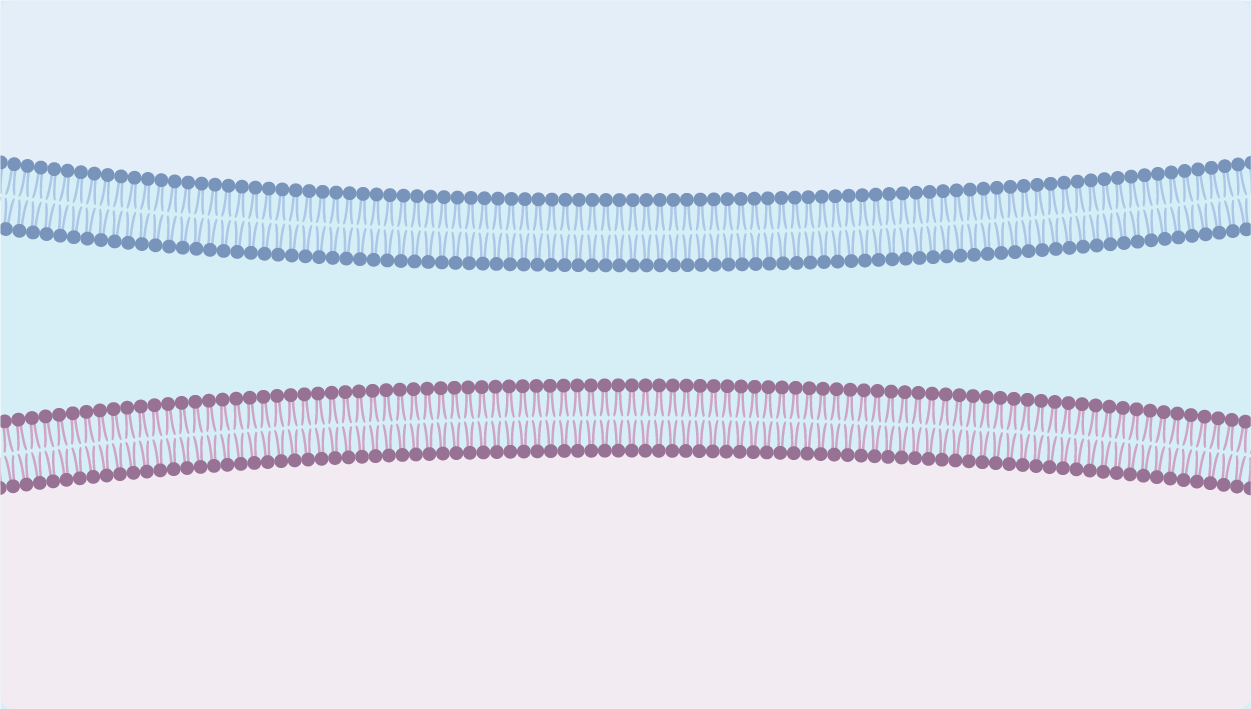 Free Membranes Icons, Symbols & Images | BioRender