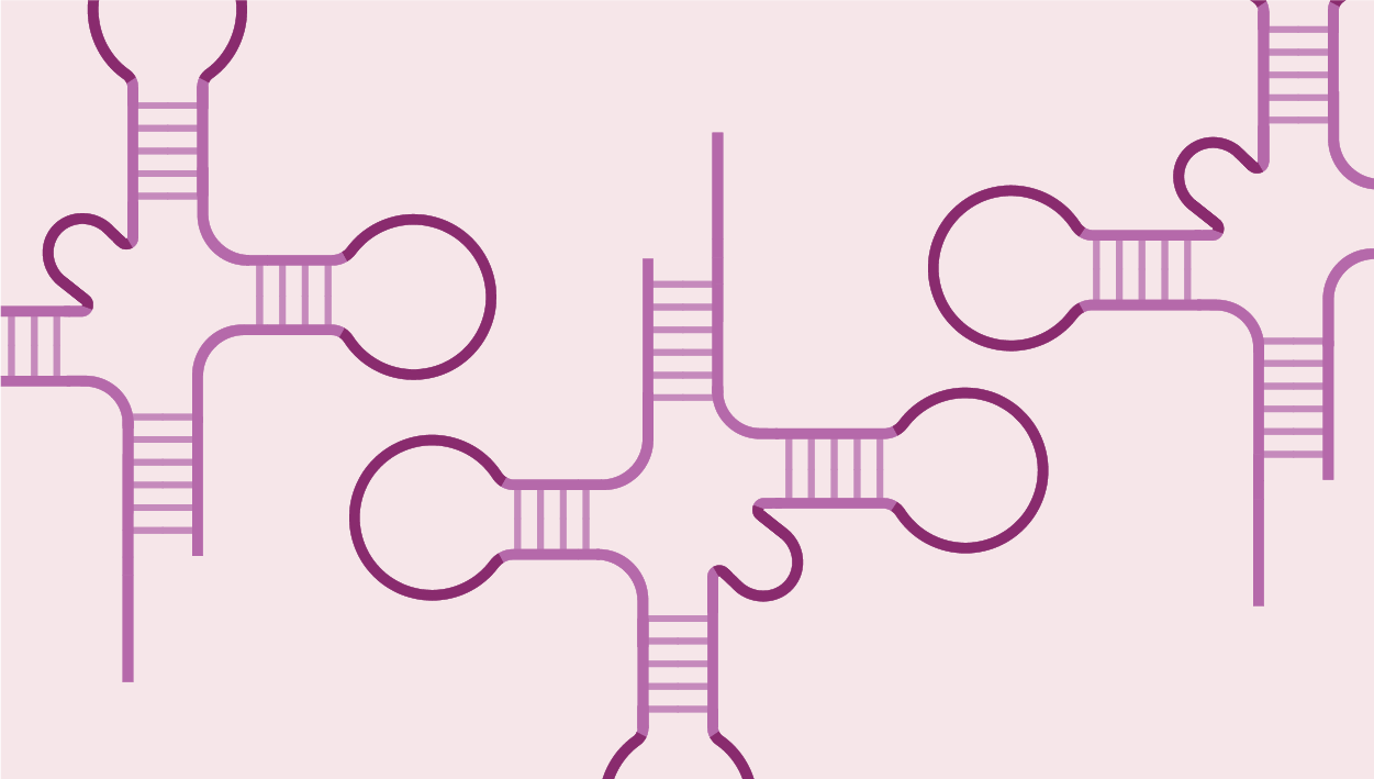 Free Nucleic Acids Icons, Symbols & Images | BioRender
