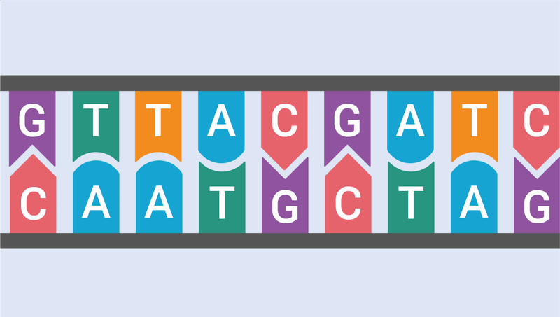 Free Nucleic Acids Icons, Symbols & Images | BioRender