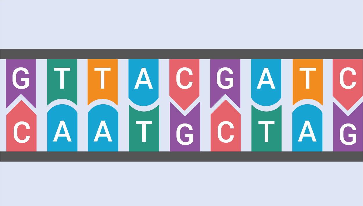 Free Nucleic Acids Icons, Symbols & Images | BioRender