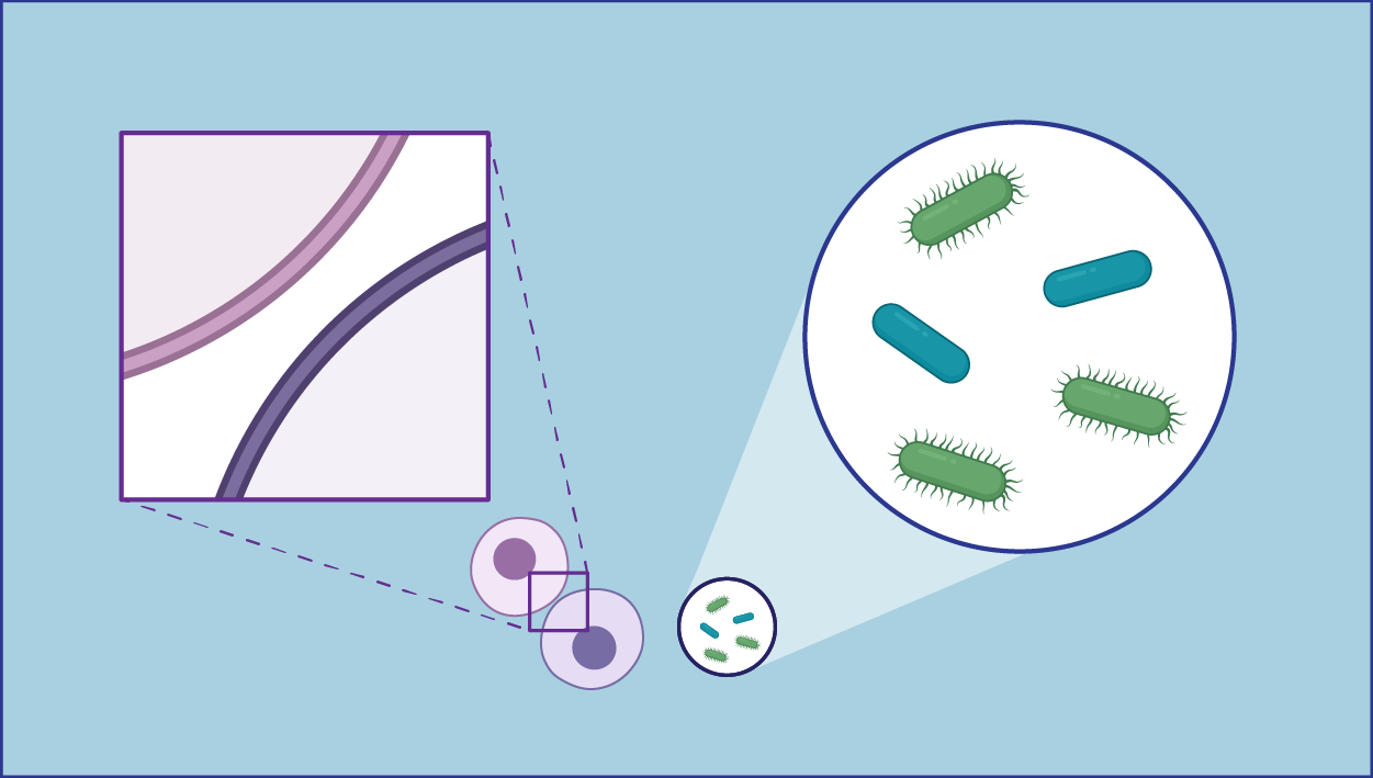 Free Graphs and Symbols Icons, Symbols & Images | BioRender