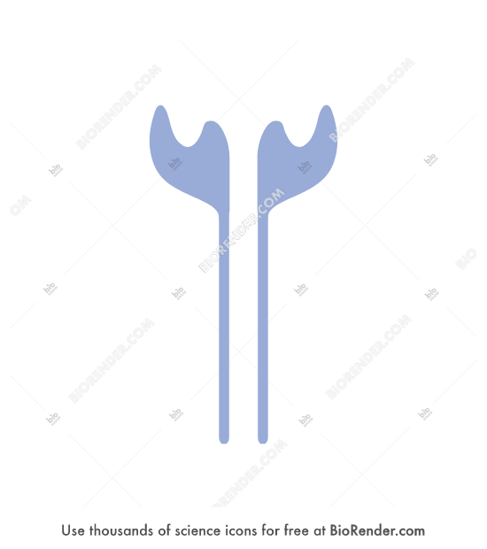 Free NK cell receptor Icons, Symbols & Images | BioRender