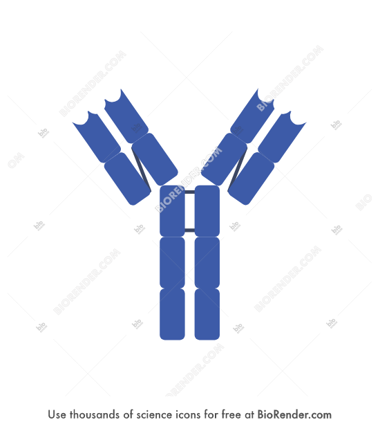 Free Antibody IgE Icons, Symbols & Images | BioRender