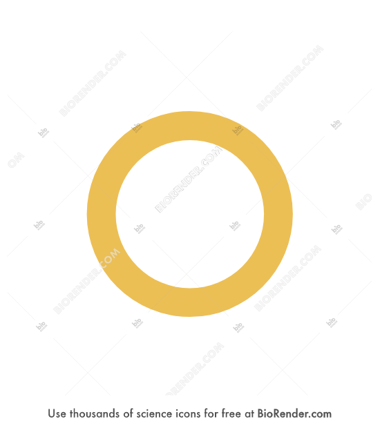Free Vesicle (synaptic cleft) Icons, Symbols & Images | BioRender