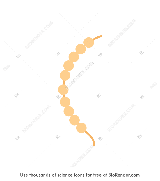 Free p120 Icons, Symbols & Images | BioRender