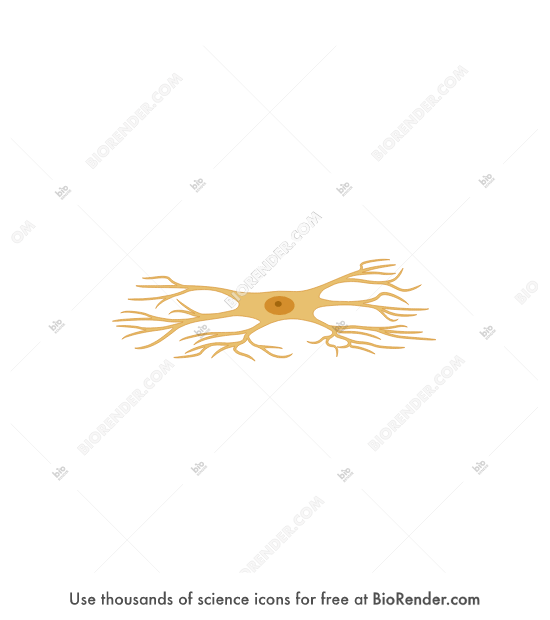 Free Enteric glia (type II, fibrous) Icons, Symbols & Images | BioRender