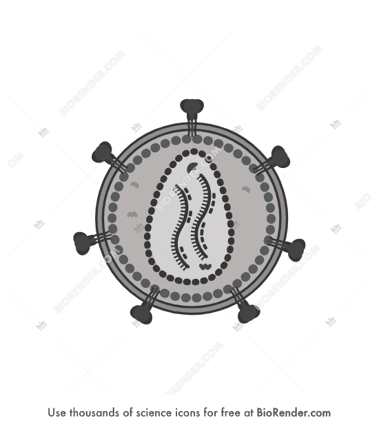 Free HIV Icons, Symbols & Images | BioRender